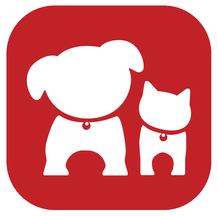 Fetch Pet Care Provider Application Survey Fetch Pet Care Provider Application Survey