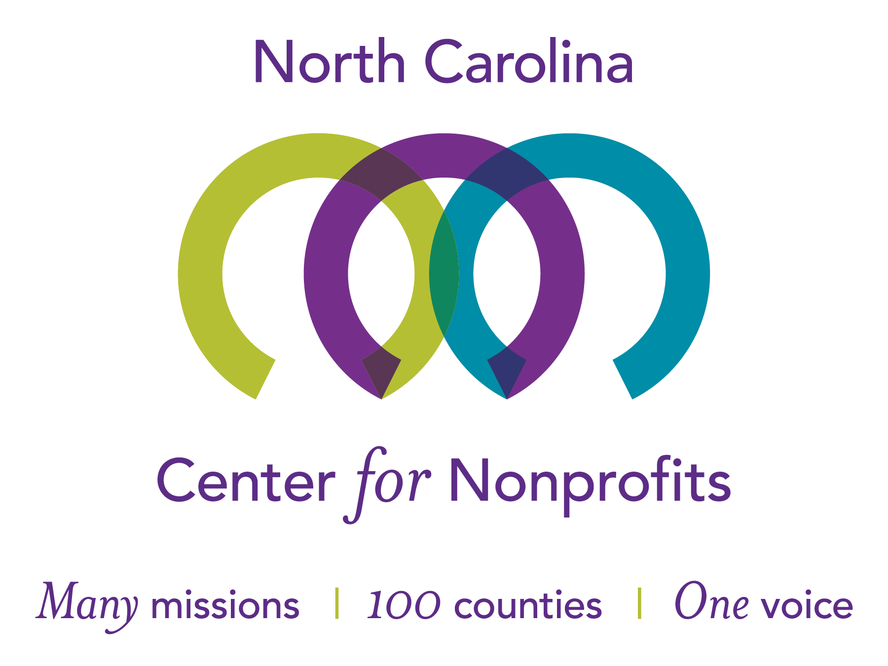 north-carolina-center-for-nonprofits-legislative-advocacy-interest-survey