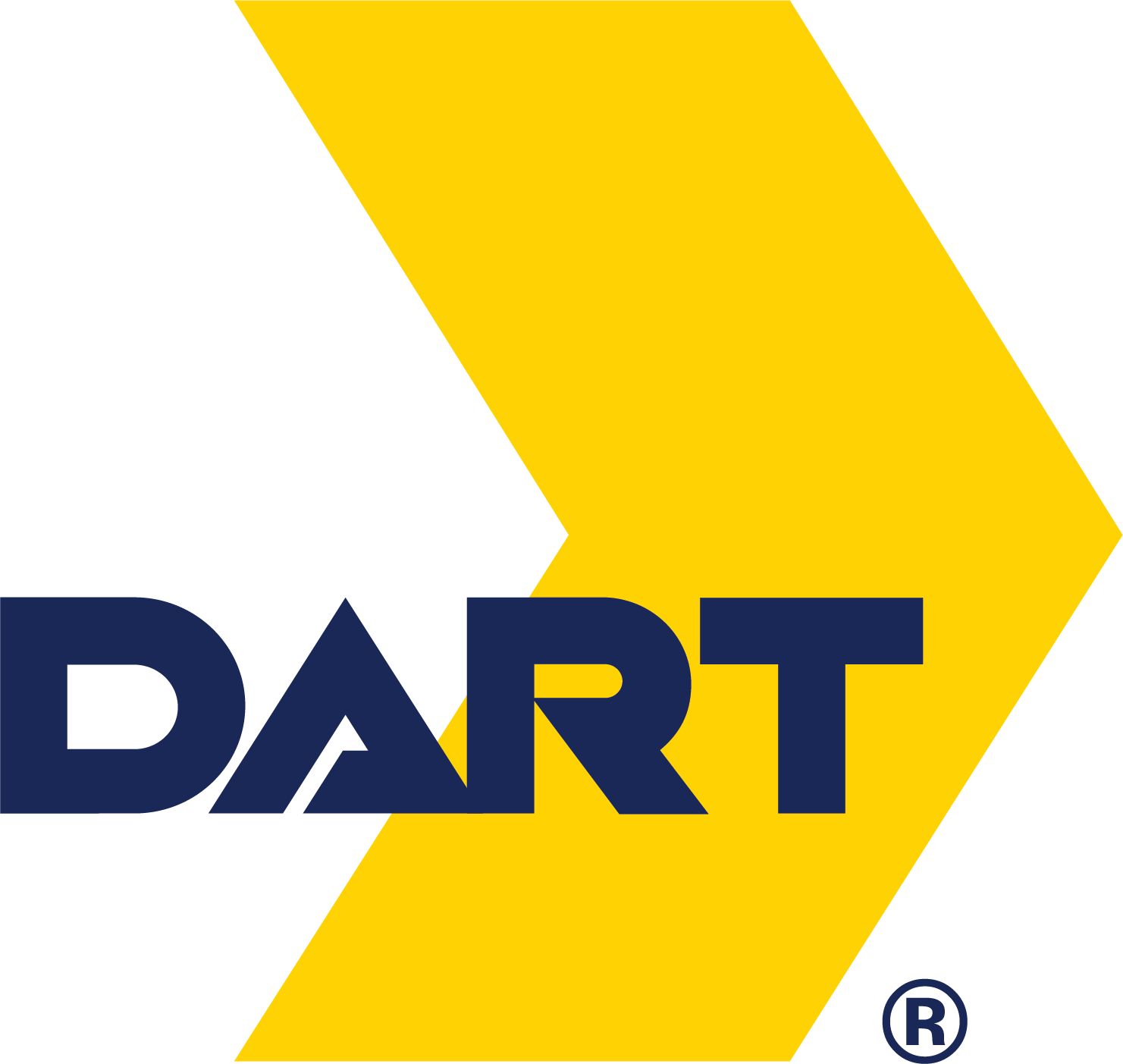 DART Website Interface Survey