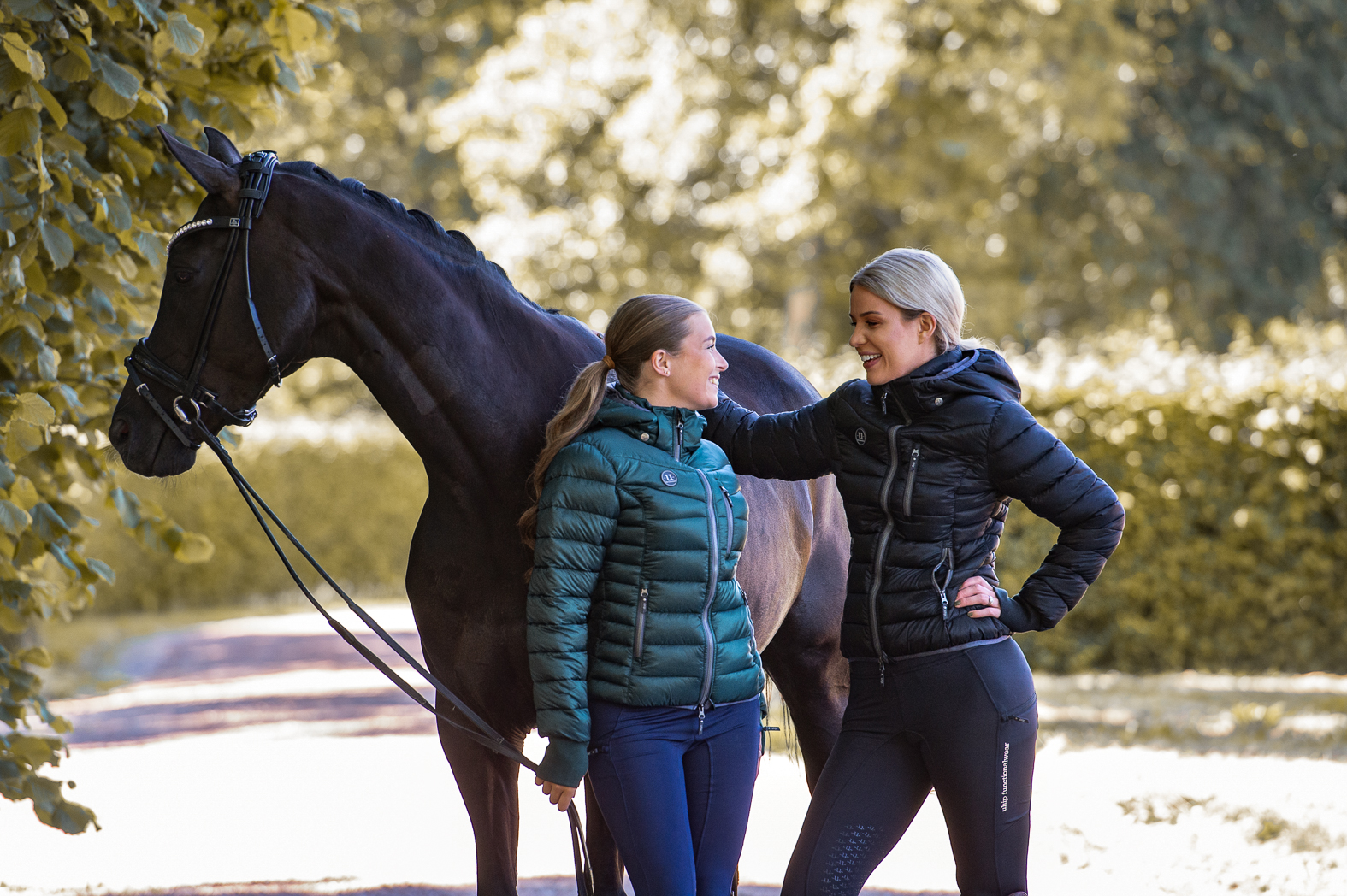 Help us design future products Survey