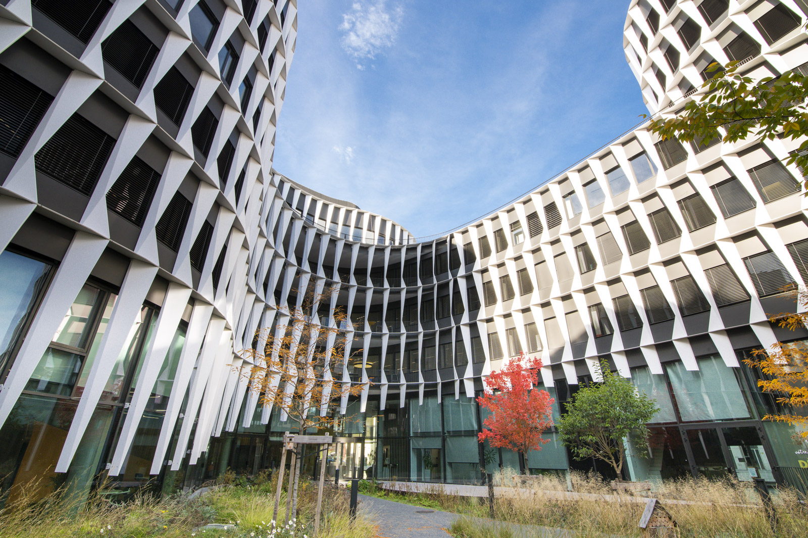 Cher Client, Chère Cliente, Survey