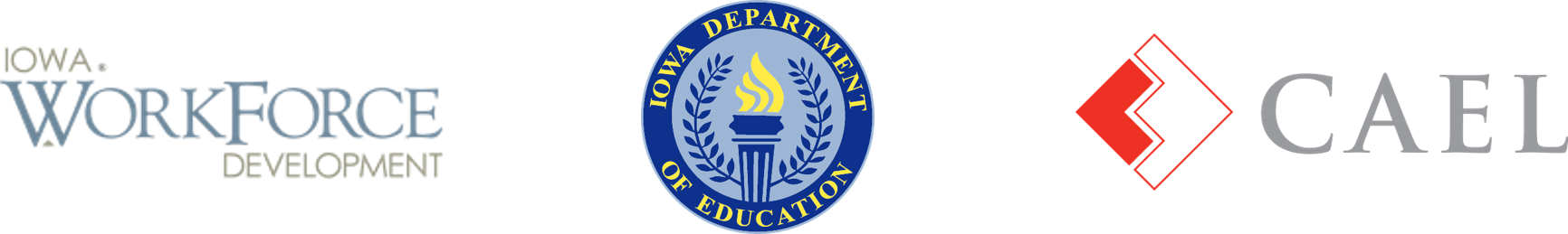 Iowa IT Career Pathways: Occupational Families Survey