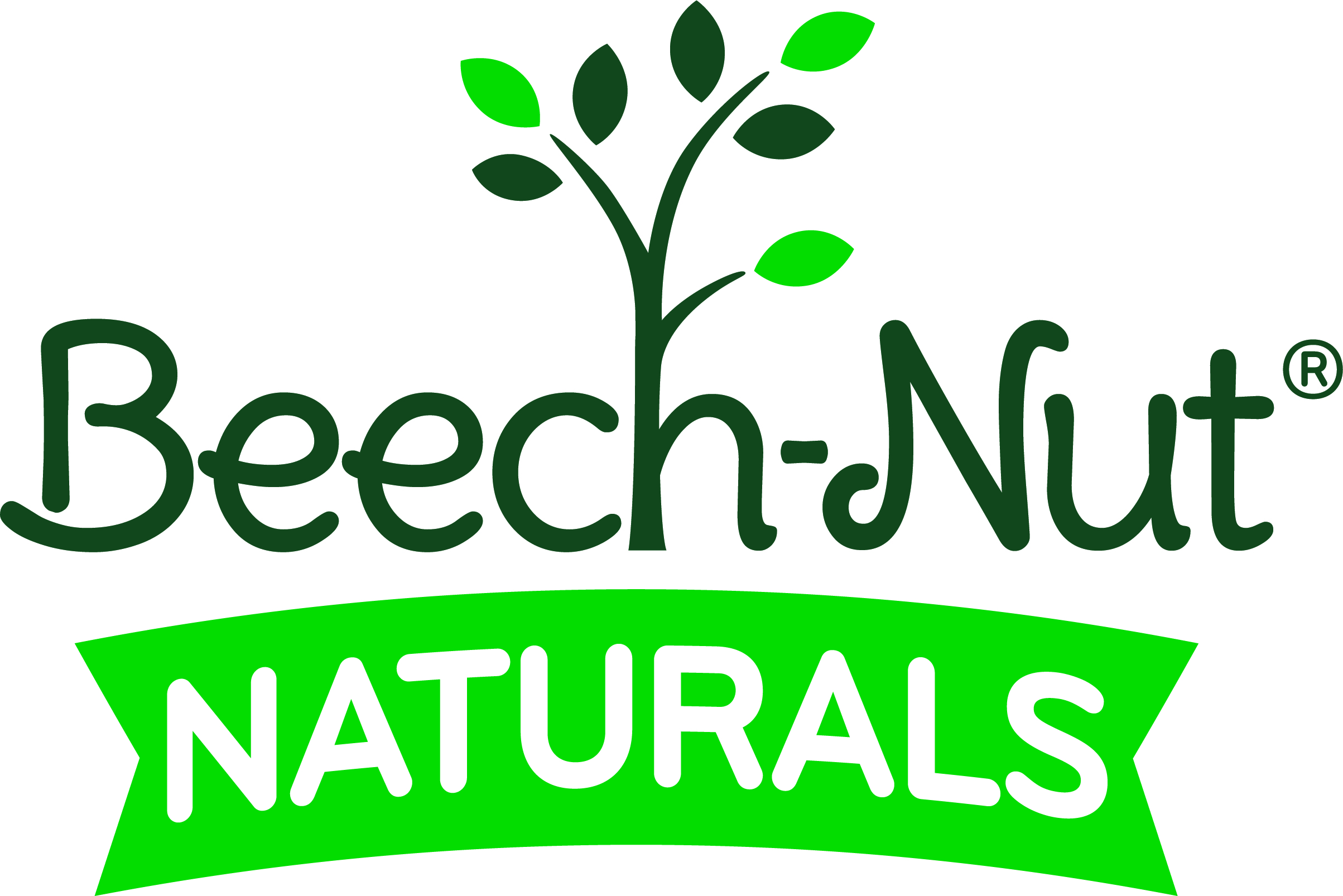 Beech-Nut 2019 Social Spotters: Link Submission Survey