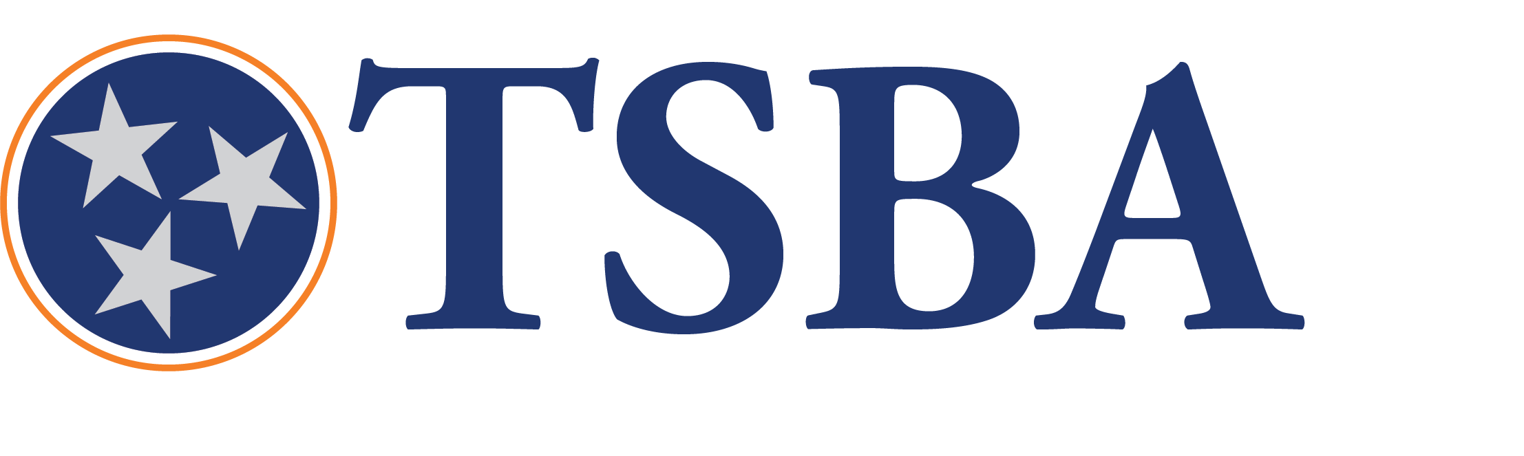 Board Member Self Evaluation Form Survey