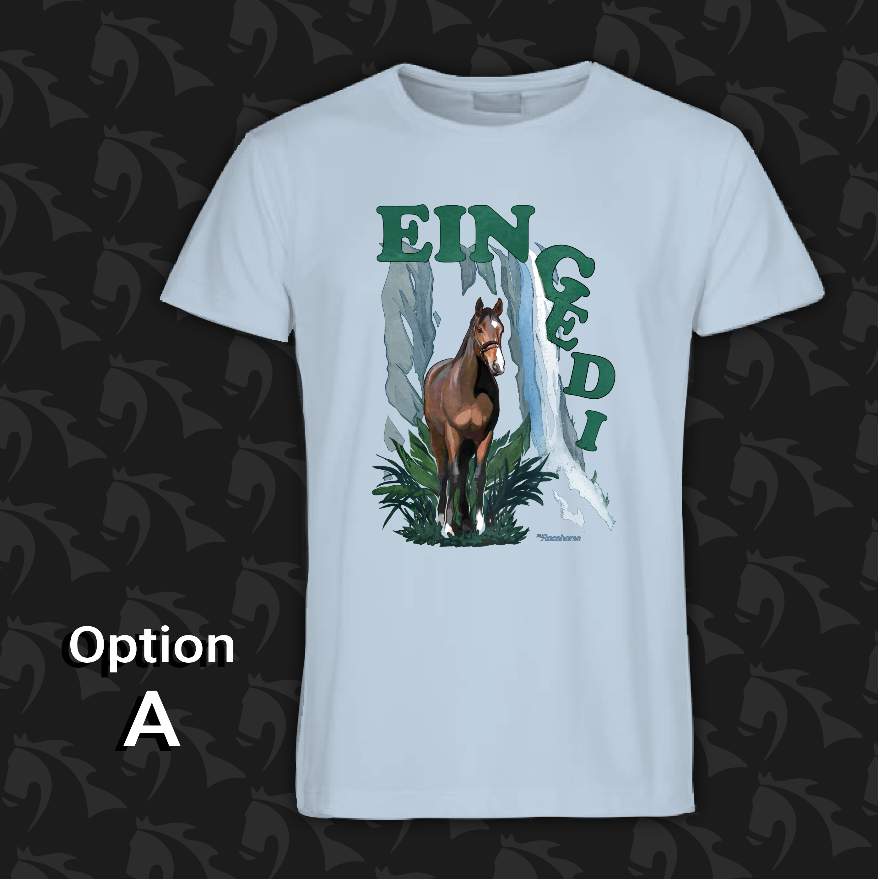 Ein Gedi Merch Survey!