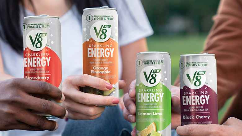 V8 Plus Energy Survey