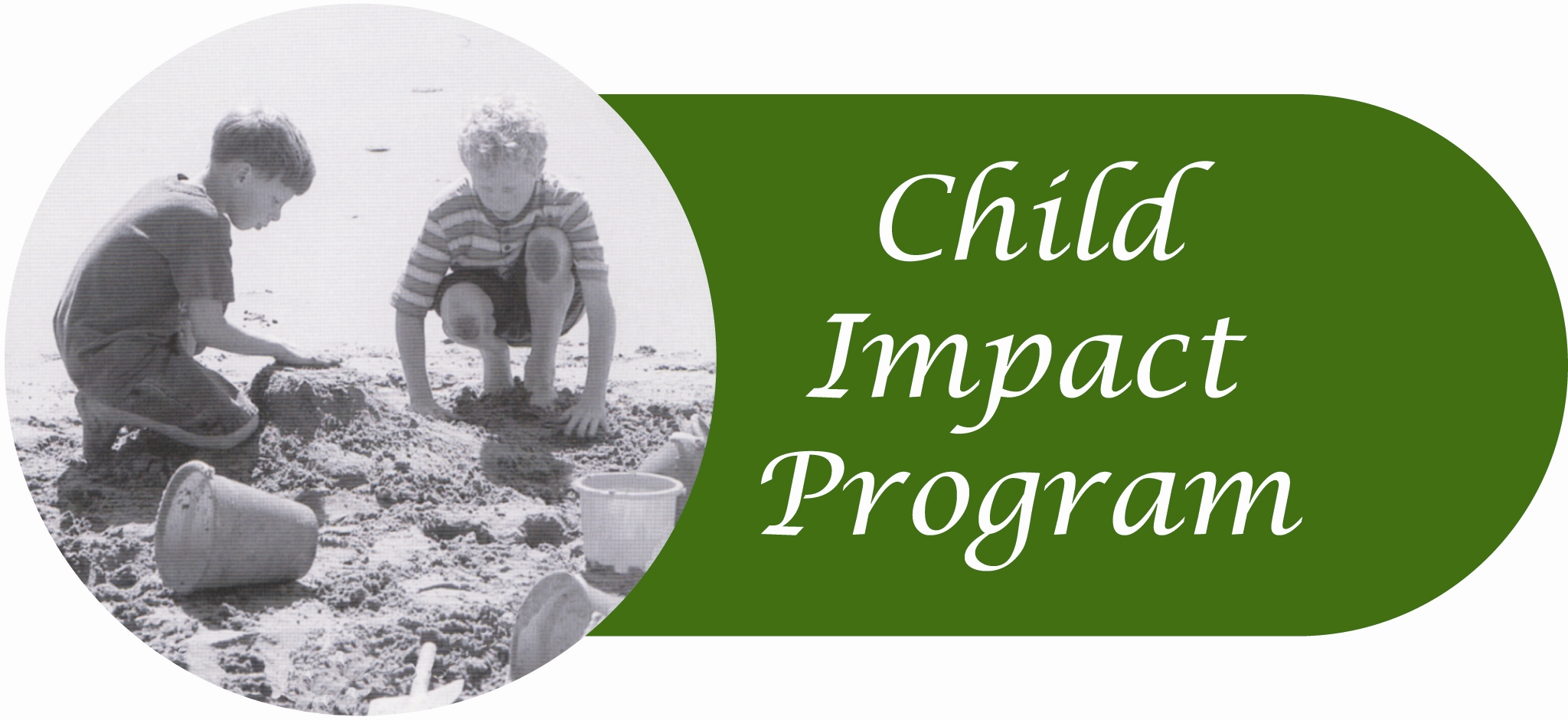 Child Impact Program Evaluation Survey