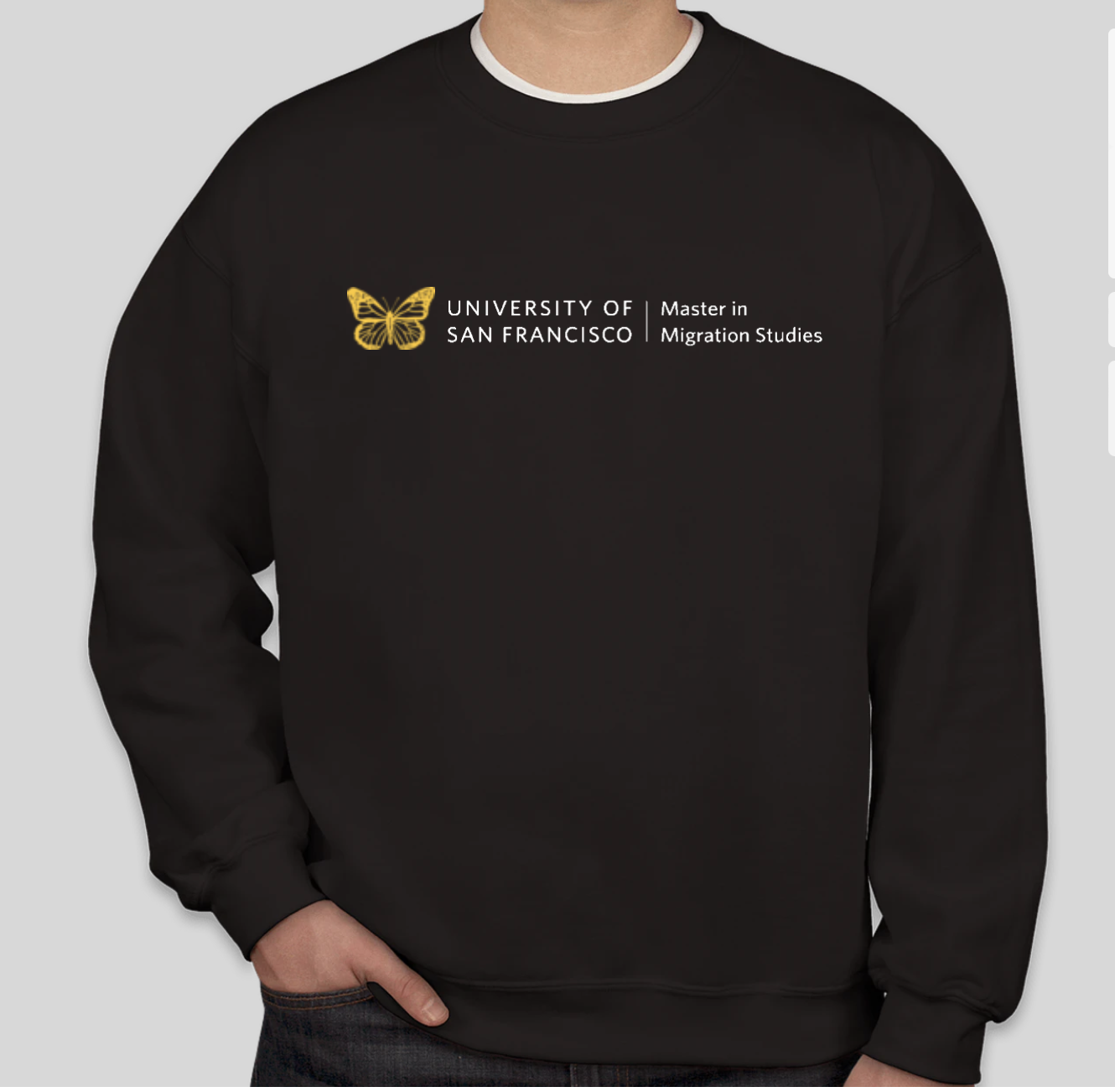 MIMS Merch Vote Survey