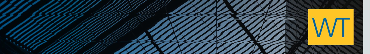 WT Capability Framework Survey