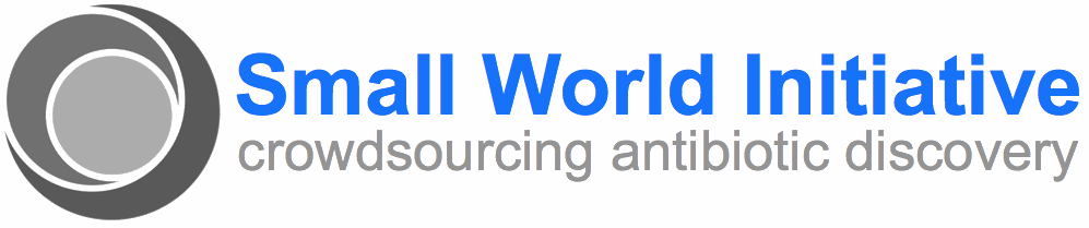 Nomination Form for SWI Awards Survey